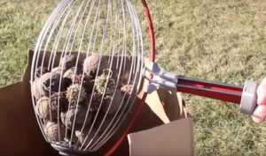 Garden Weasel Large Nut Gatherer Review - Area 51 Reviews